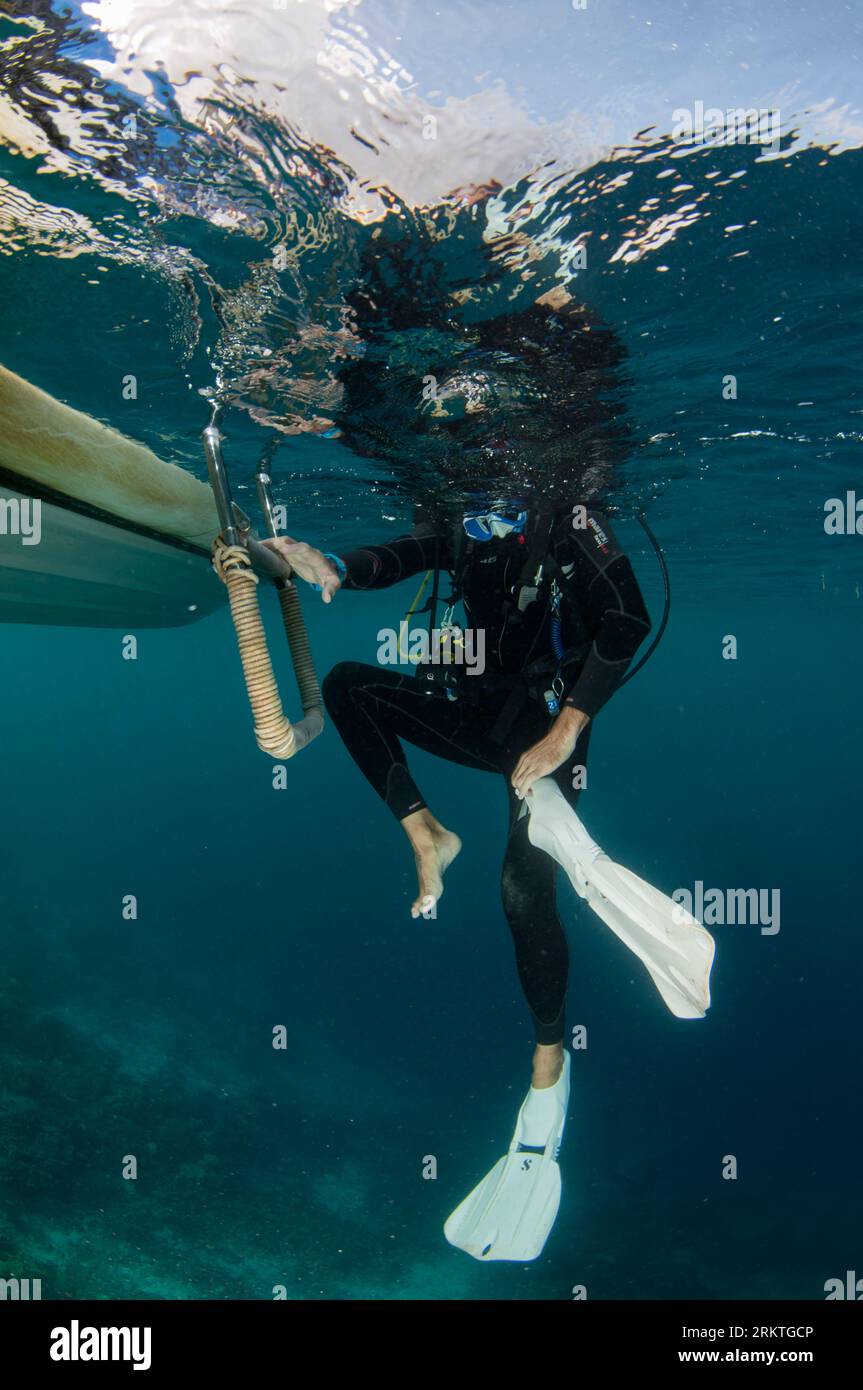Diver removing fins to get on boat, Kerua Channel dive site, Penemu ...