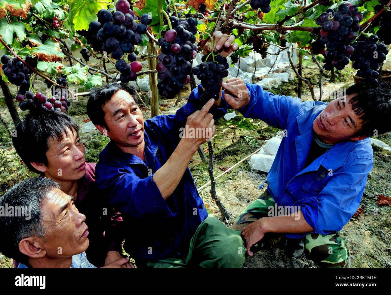 Mu fu hi-res stock photography and images - Alamy