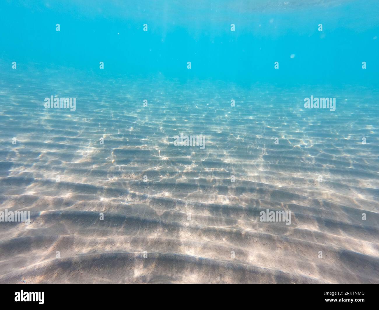 Sandy sea bottom Marine life, Underwater background. Clear water Stock ...