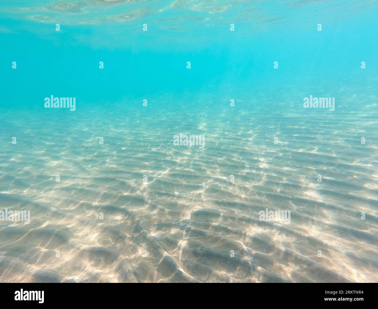 Sandy sea bottom Marine life, Underwater background. Clear water Stock ...
