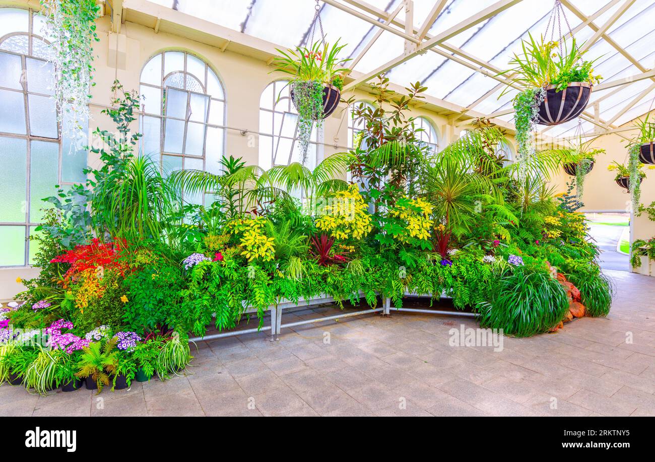 City Park in Launceston, Tasmania, Australia. Pictured: an interior ...