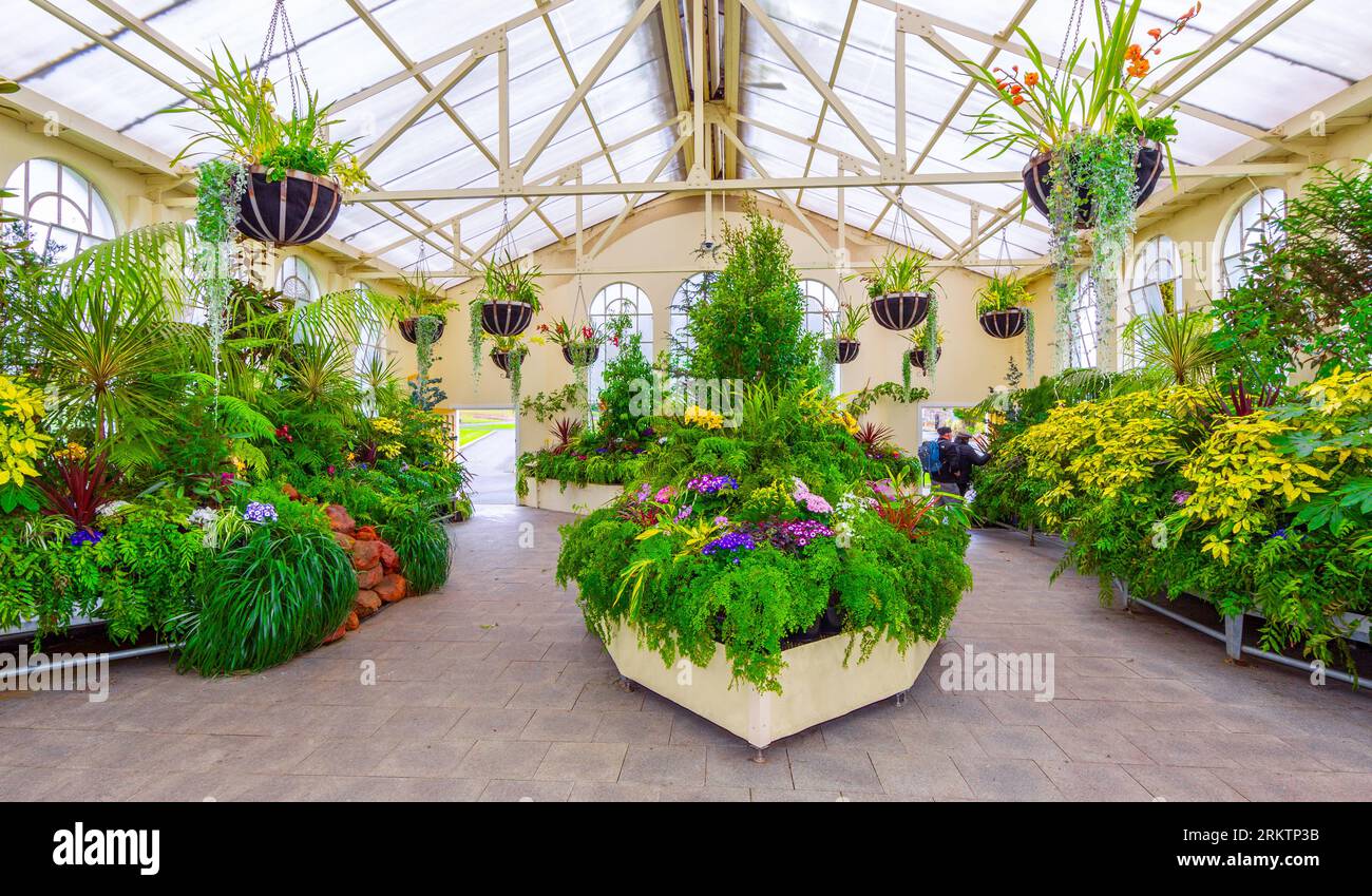 Launceston attractions hi-res stock photography and images - Alamy