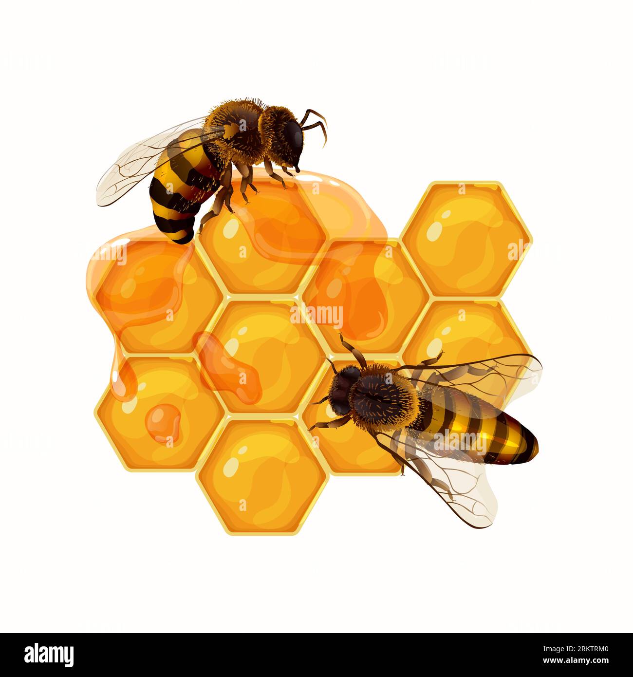 Honey realistic abstract composition with bees sitting on amber ...