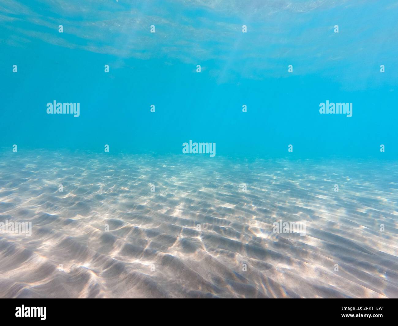 Sandy sea bottom Marine life, Underwater background. Clear water Stock ...