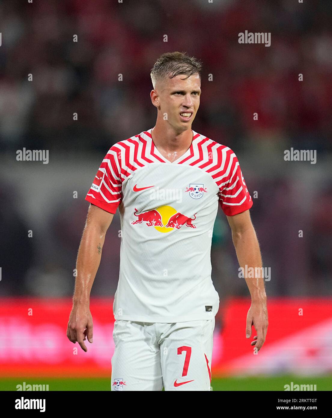August 26 2023: Dani Olmo (RB Leipzig) looks on during a 1. Bundesliga ...