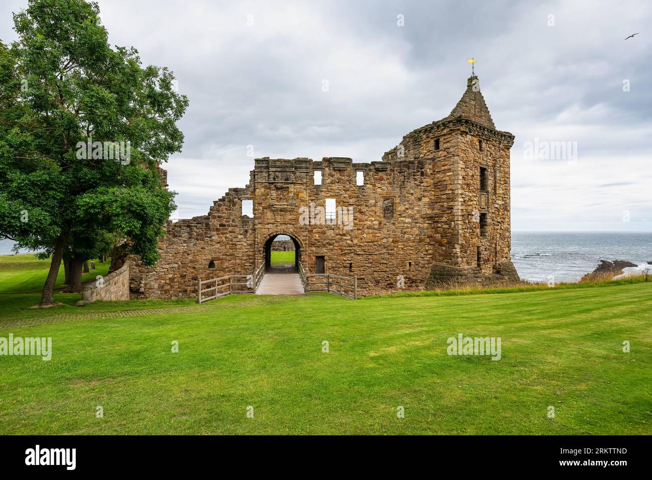 Saint Andrews Castle on the seaside coast, Scotland, UK Stock Photo - Alamy