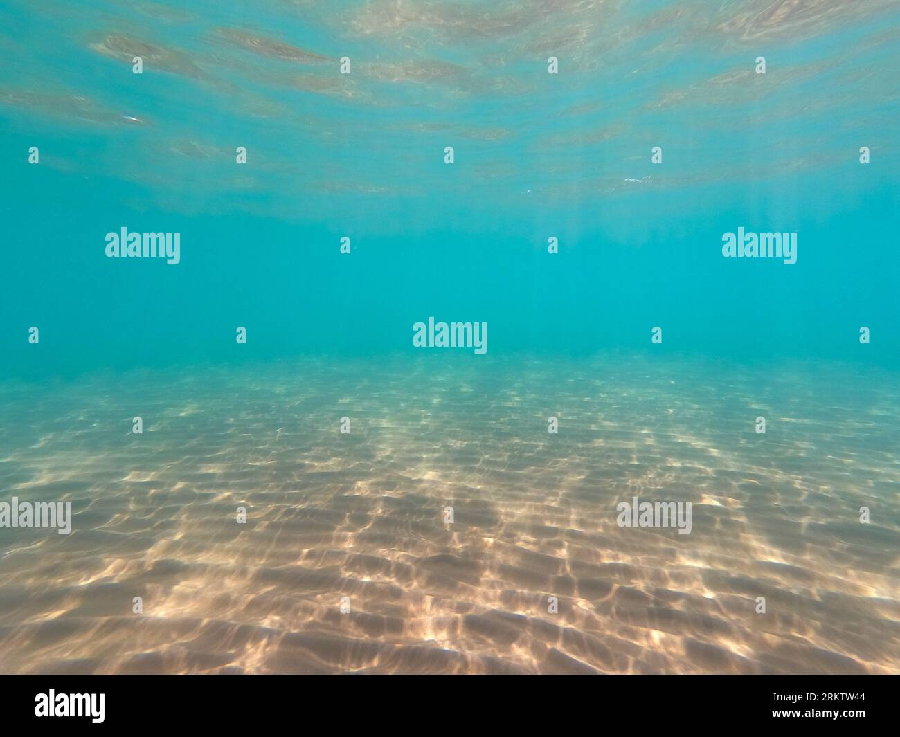 Sandy sea bottom Marine life, Underwater background. Clear water Stock ...