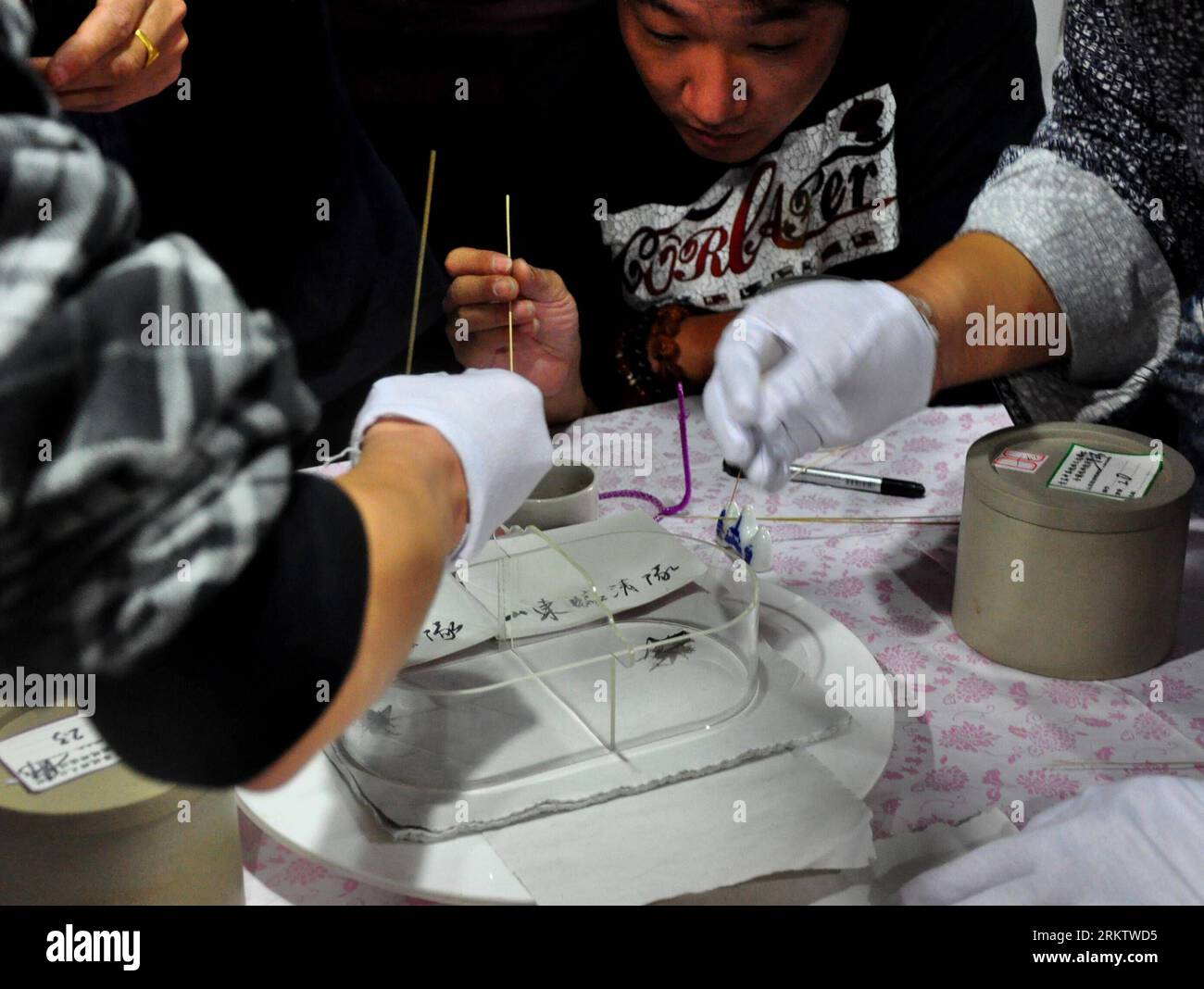 Cricket fighting china hi-res stock photography and images - Alamy