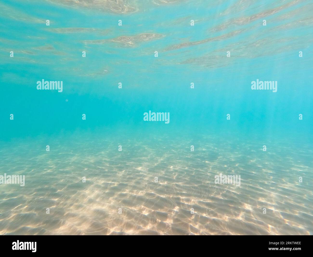 Sandy sea bottom Marine life, Underwater background. Clear water Stock ...