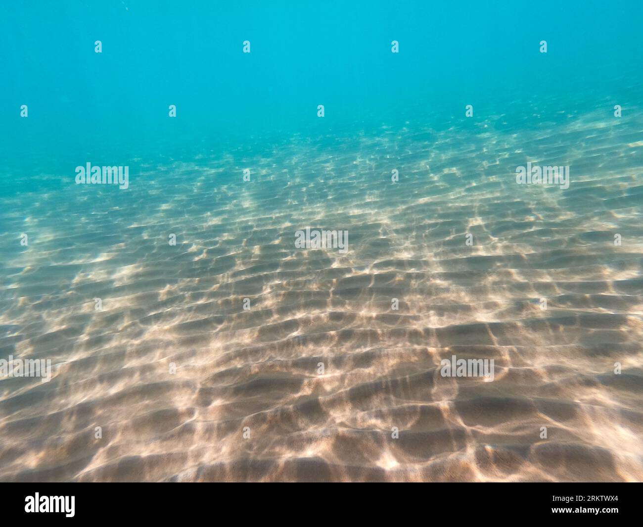 Sandy sea bottom Marine life, Underwater background. Clear water Stock ...