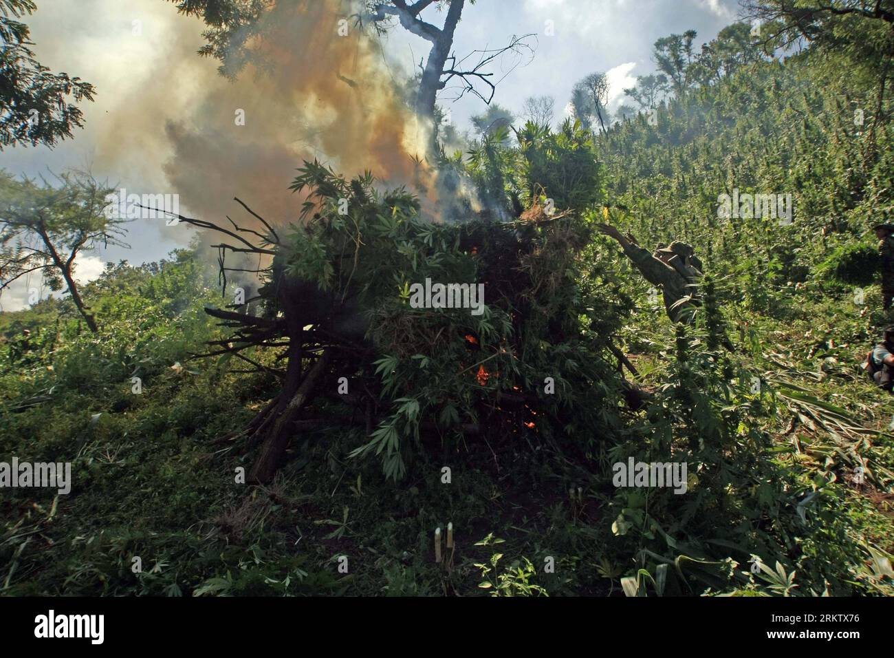 Guachinango jalisco hi-res stock photography and images - Alamy