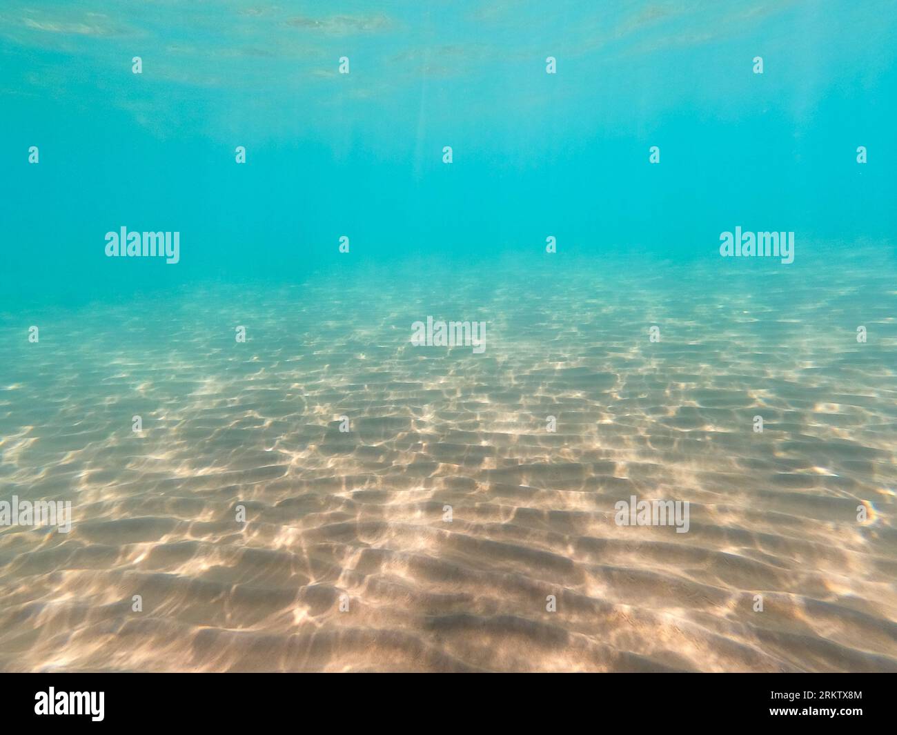 Sandy sea bottom Marine life, Underwater background. Clear water Stock ...