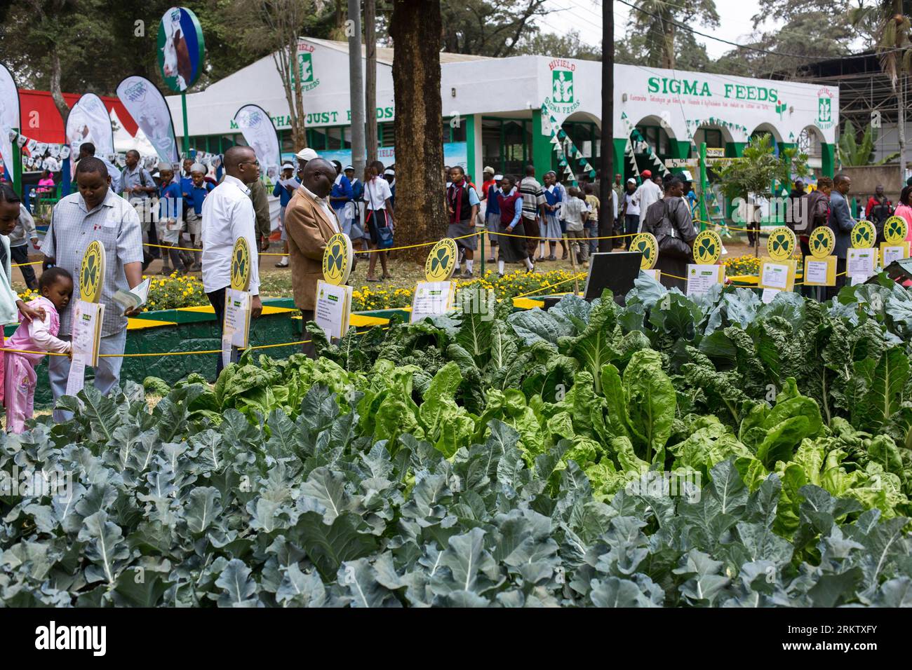 Nairobi international trade fair hi-res stock photography and images ...