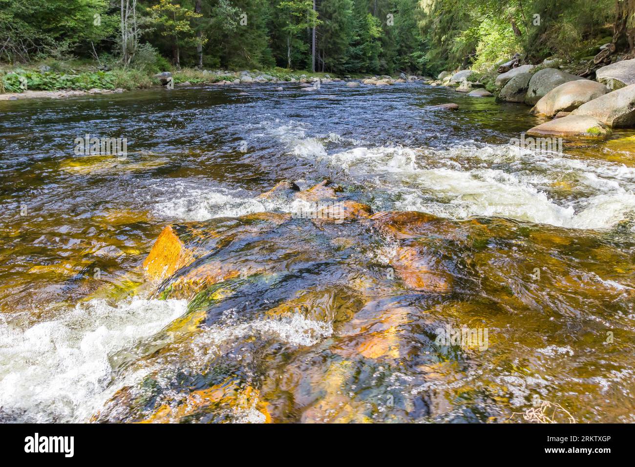 Sumava national park hi-res stock photography and images - Alamy