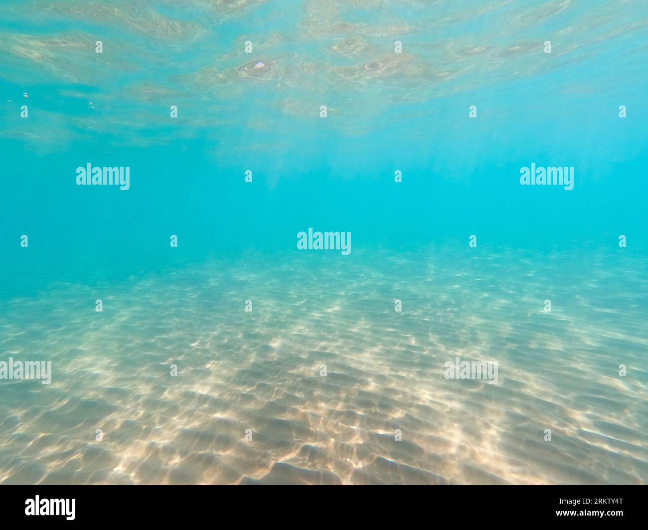Sandy sea bottom Marine life, Underwater background. Clear water Stock ...