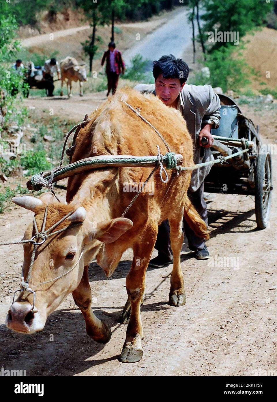 Cattle wagon hi-res stock photography and images - Alamy