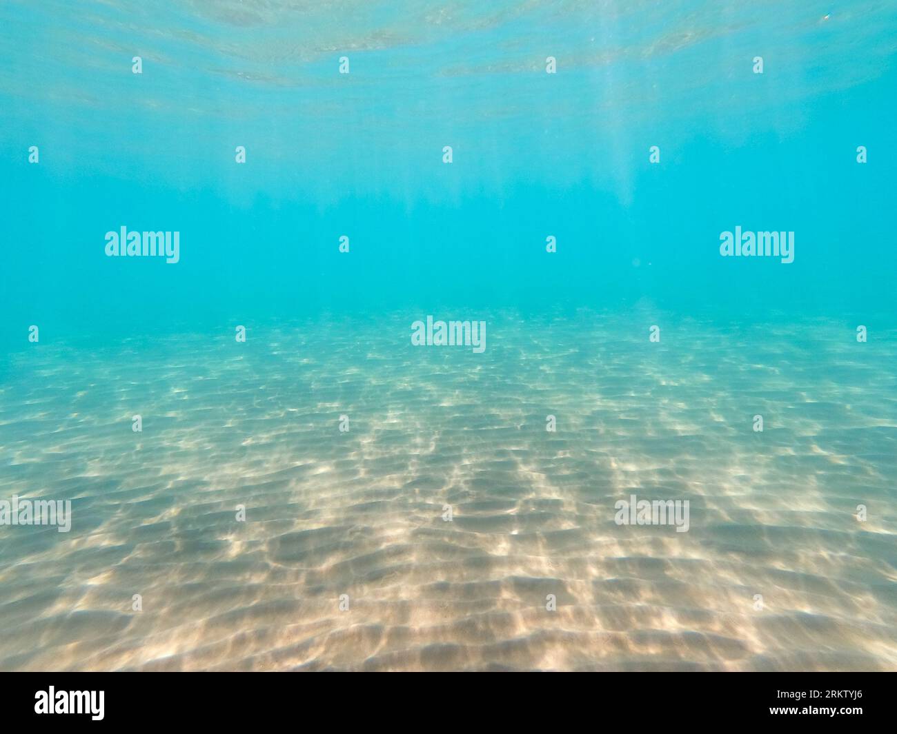 Sandy sea bottom Marine life, Underwater background. Clear water Stock ...