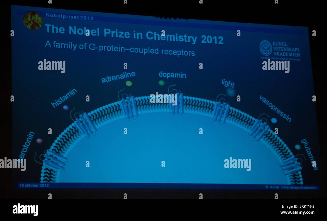 Robert lefkowitz nobel hi-res stock photography and images - Alamy