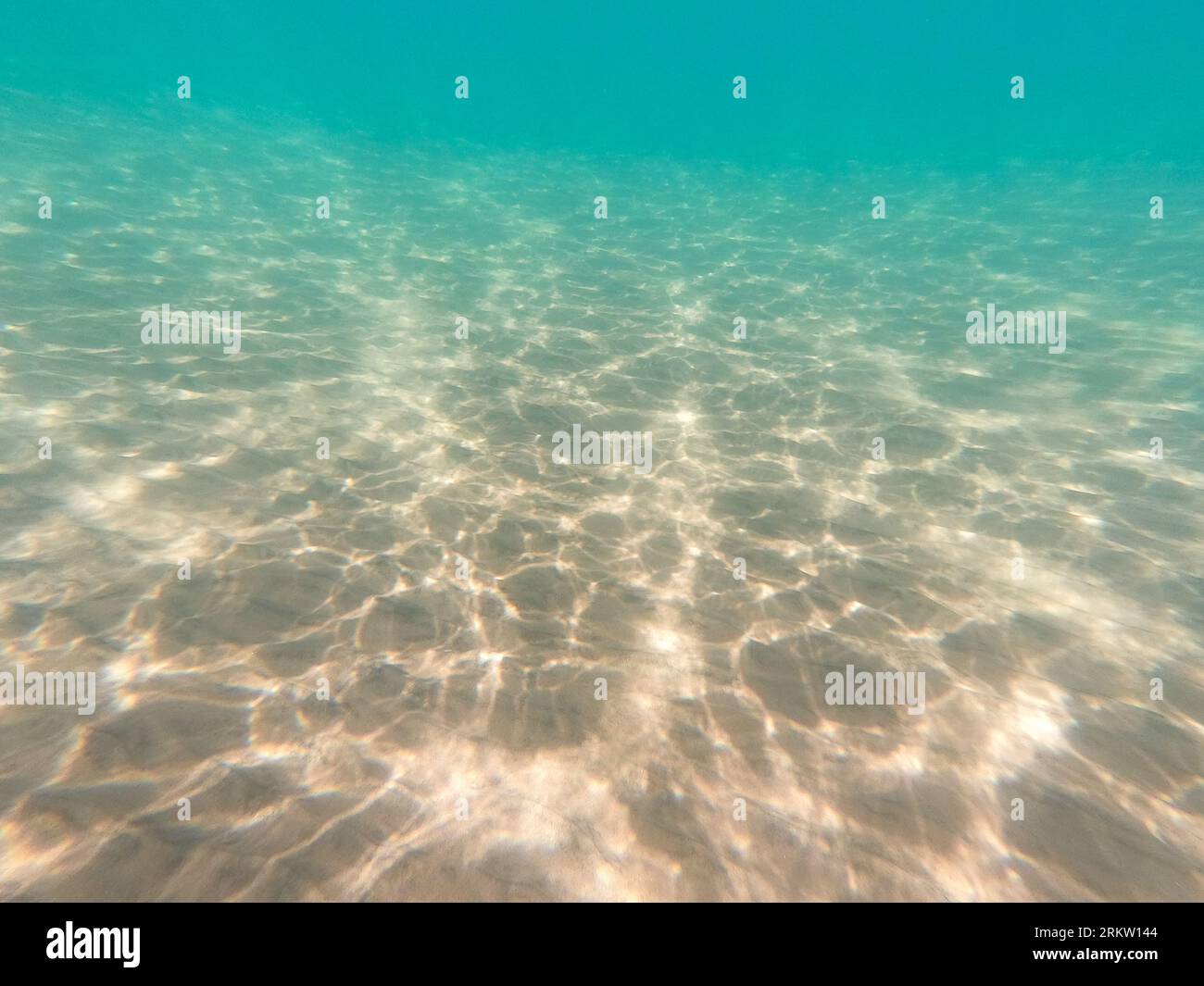 Sandy sea bottom Marine life, Underwater background. Clear water Stock ...