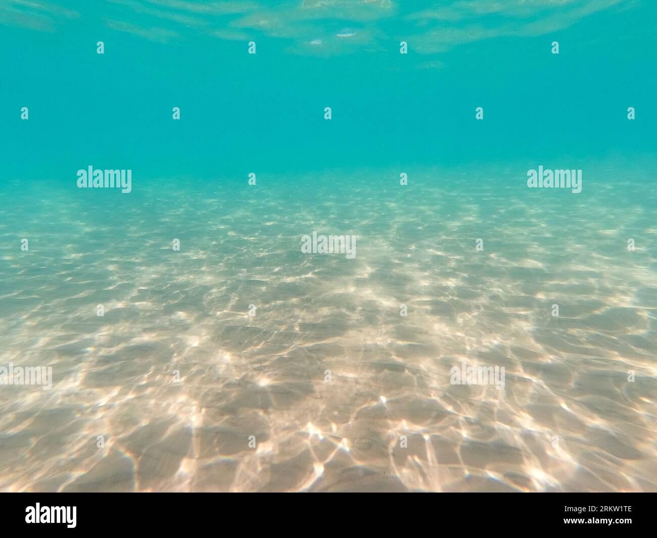 Sandy sea bottom Marine life, Underwater background. Clear water Stock ...