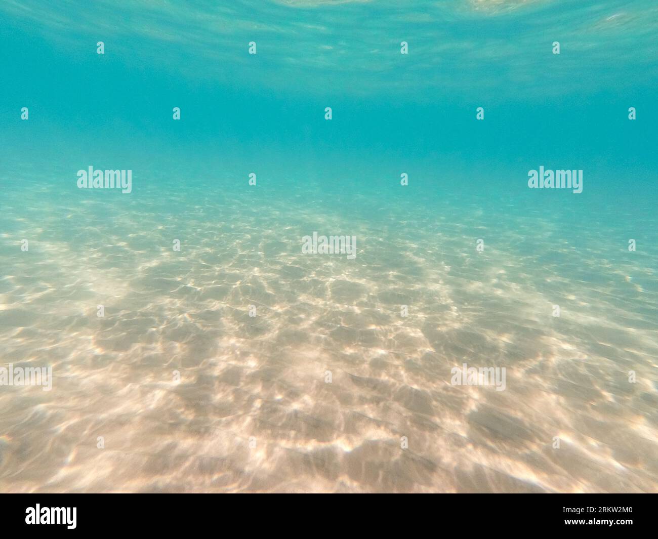 Sandy sea bottom Marine life, Underwater background. Clear water Stock ...