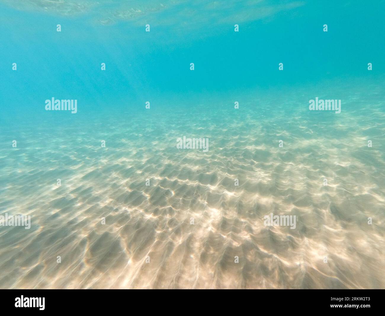 Sandy sea bottom Marine life, Underwater background. Clear water Stock ...