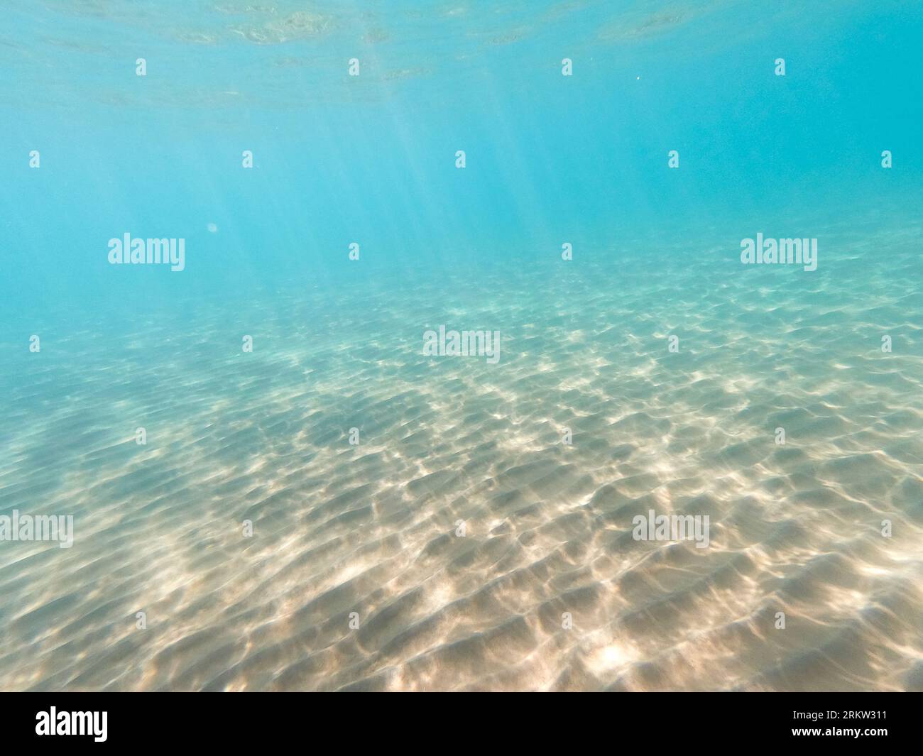 Sandy sea bottom Marine life, Underwater background. Clear water Stock ...
