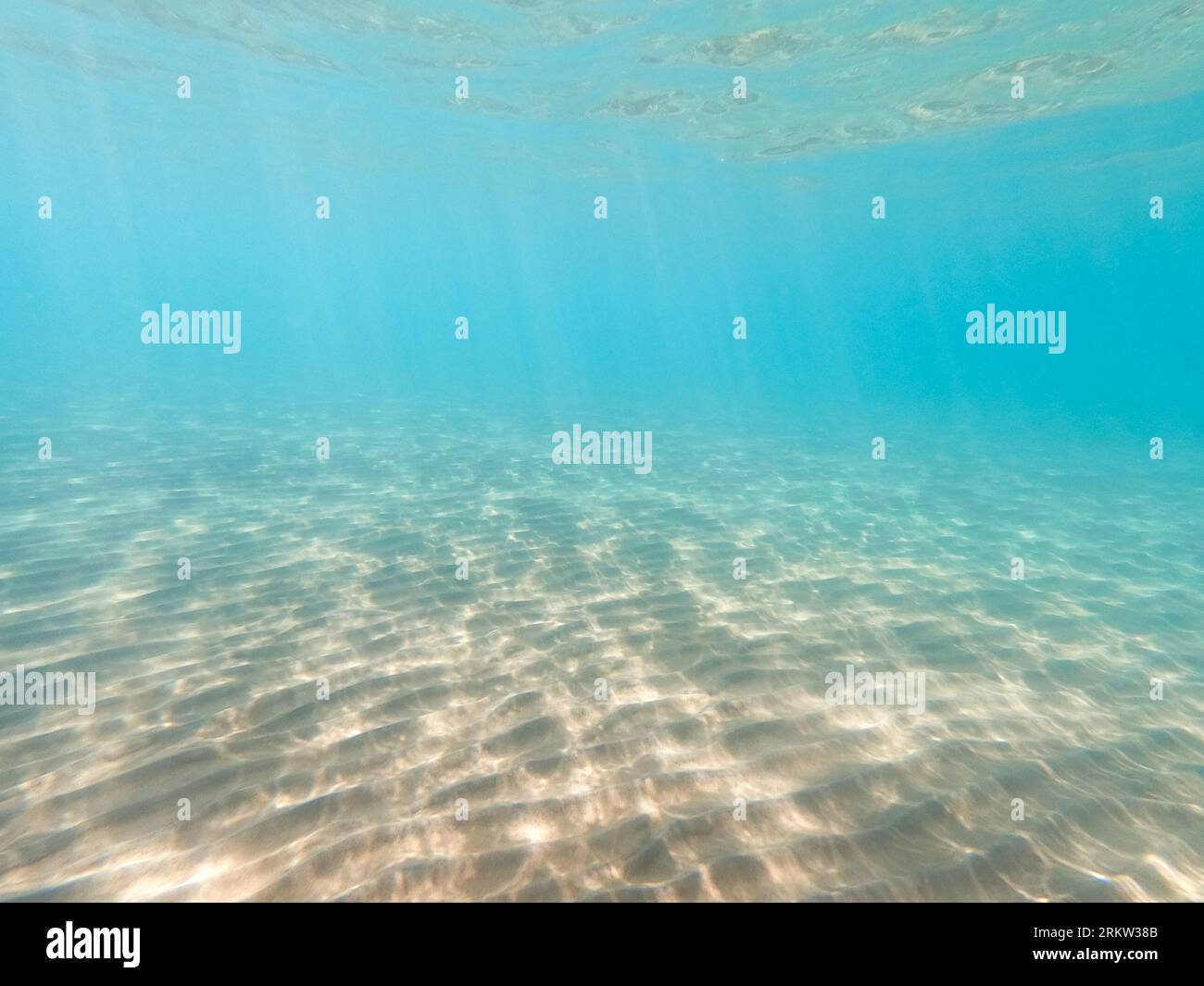 Sandy sea bottom Marine life, Underwater background. Clear water Stock ...