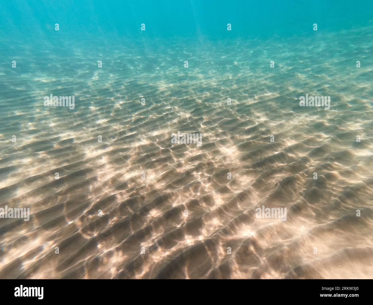 Sandy sea bottom Marine life, Underwater background. Clear water Stock ...