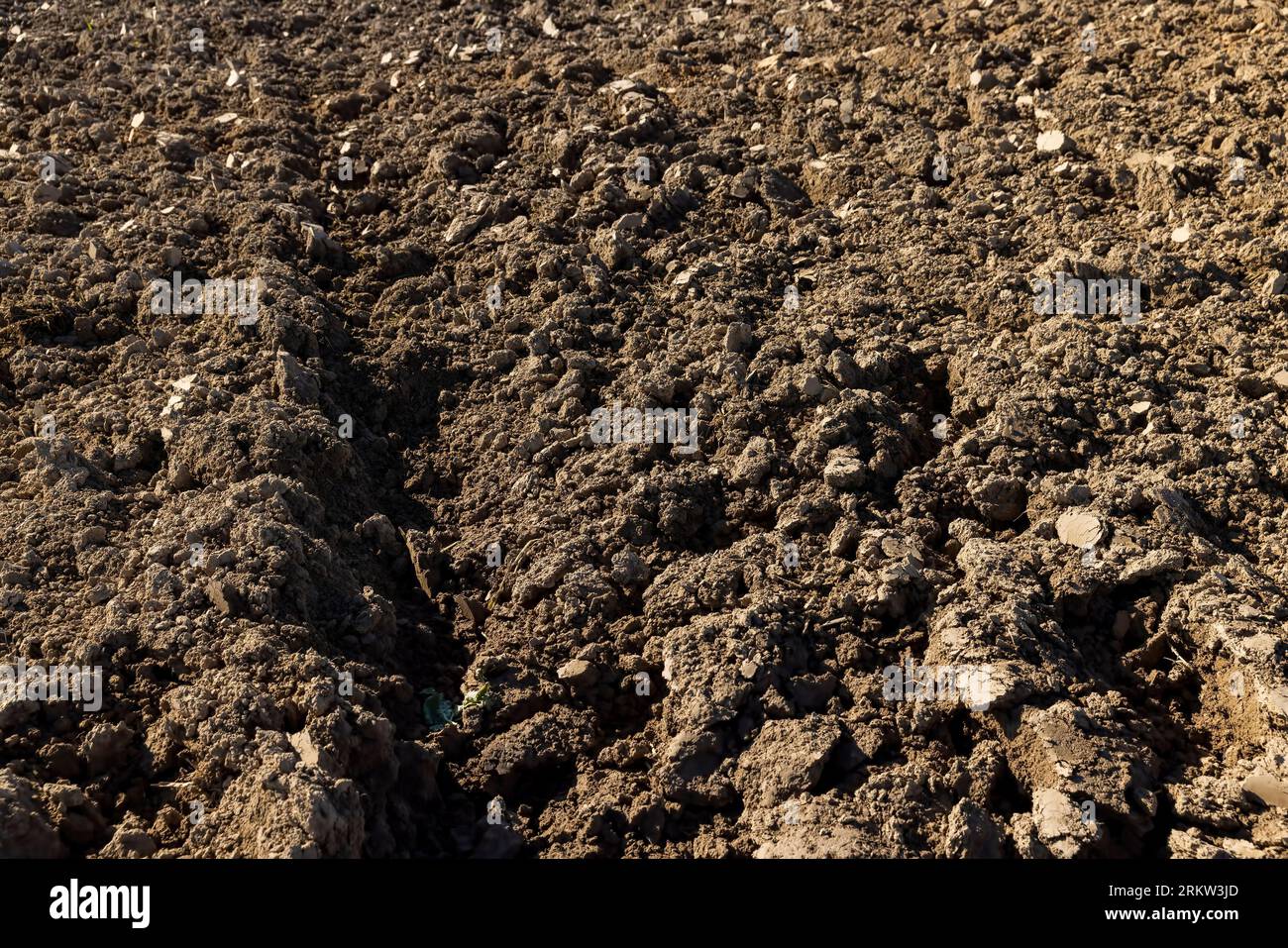 Processed plowed fertile soil in the field, preparation and tillage for ...