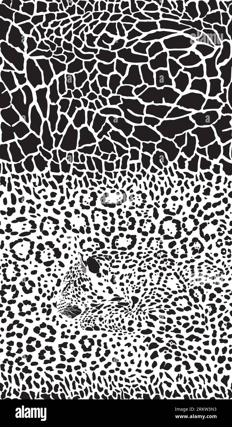 Leopard giraffe black white Stock Vector Images - Alamy