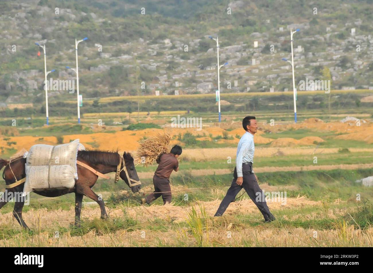 Burdened horse hi-res stock photography and images - Alamy
