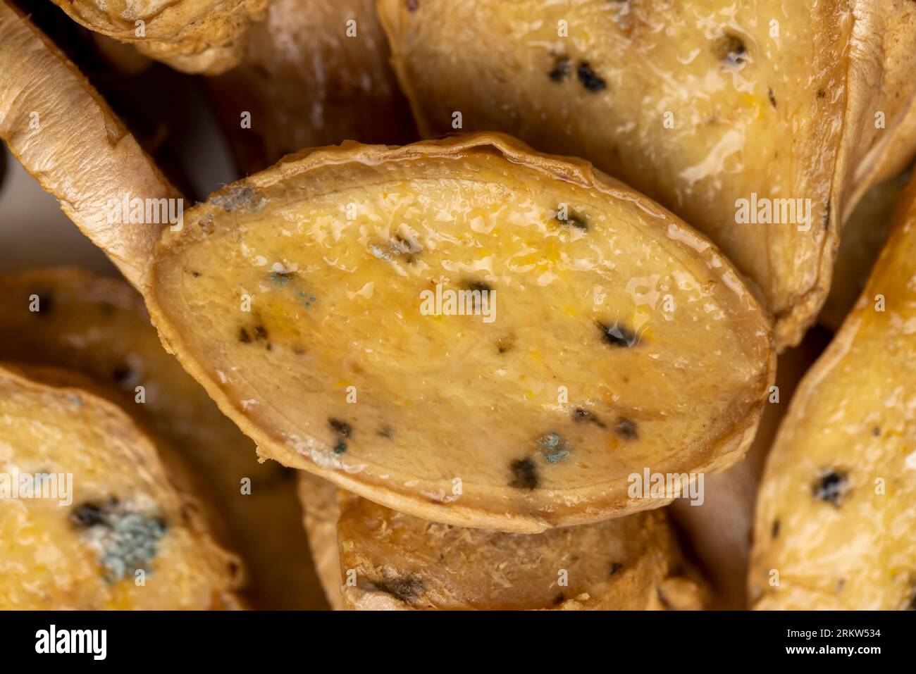Spoiled and covered with mold sliced ginger, spices spoiled food ...