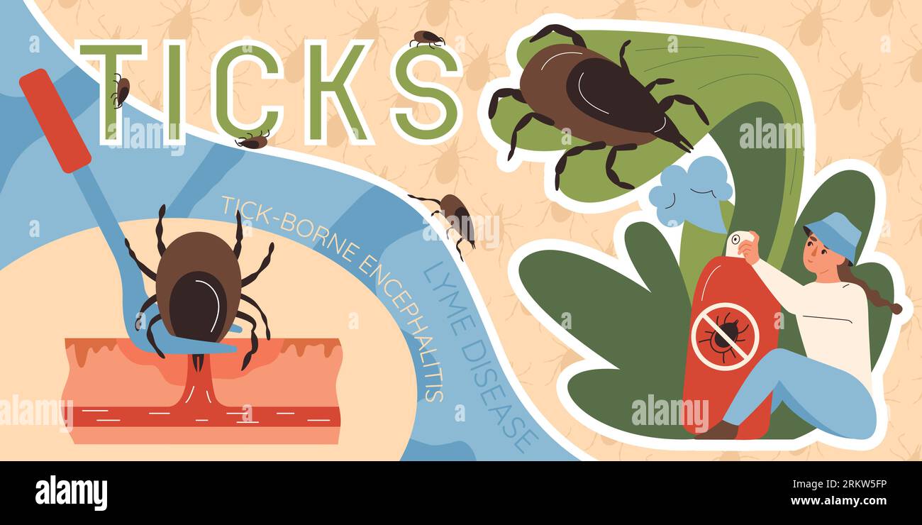 Insects ticks collage with encephalitis symbols flat vector ...