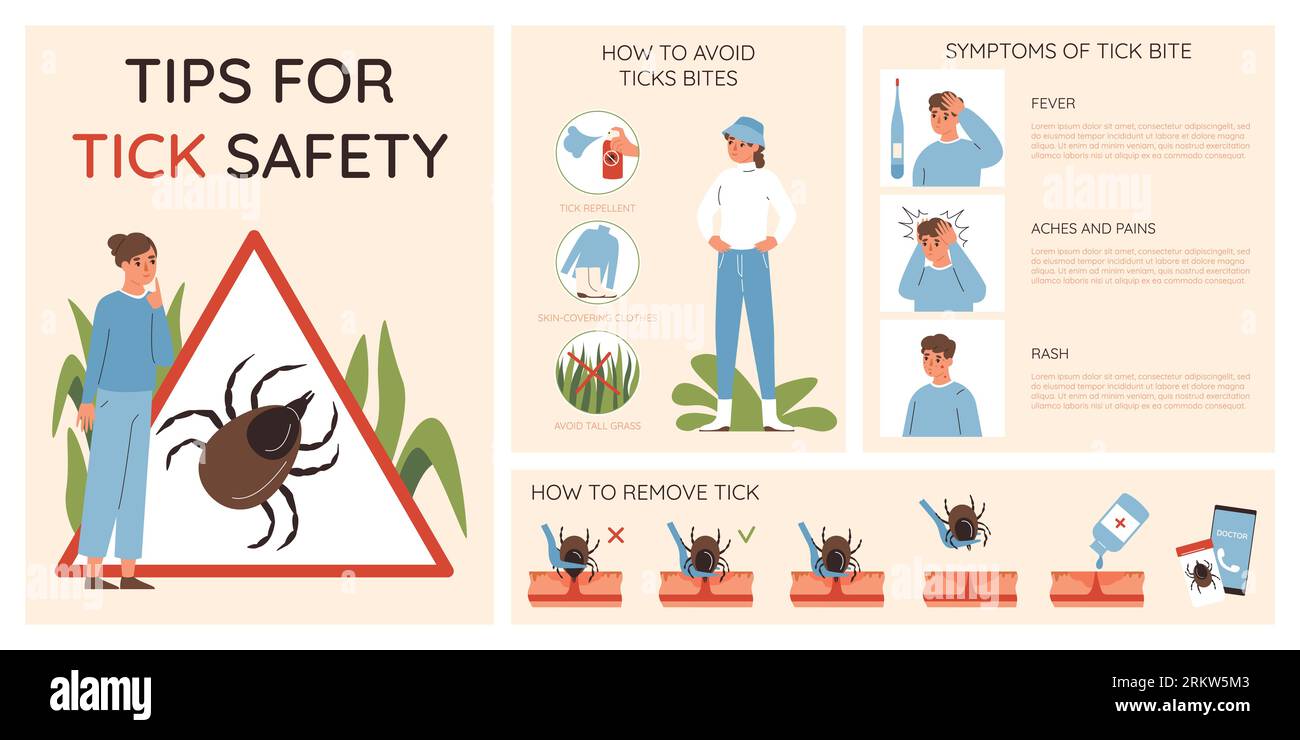 Insects infographic set with ticks bites symbols flat vector ...