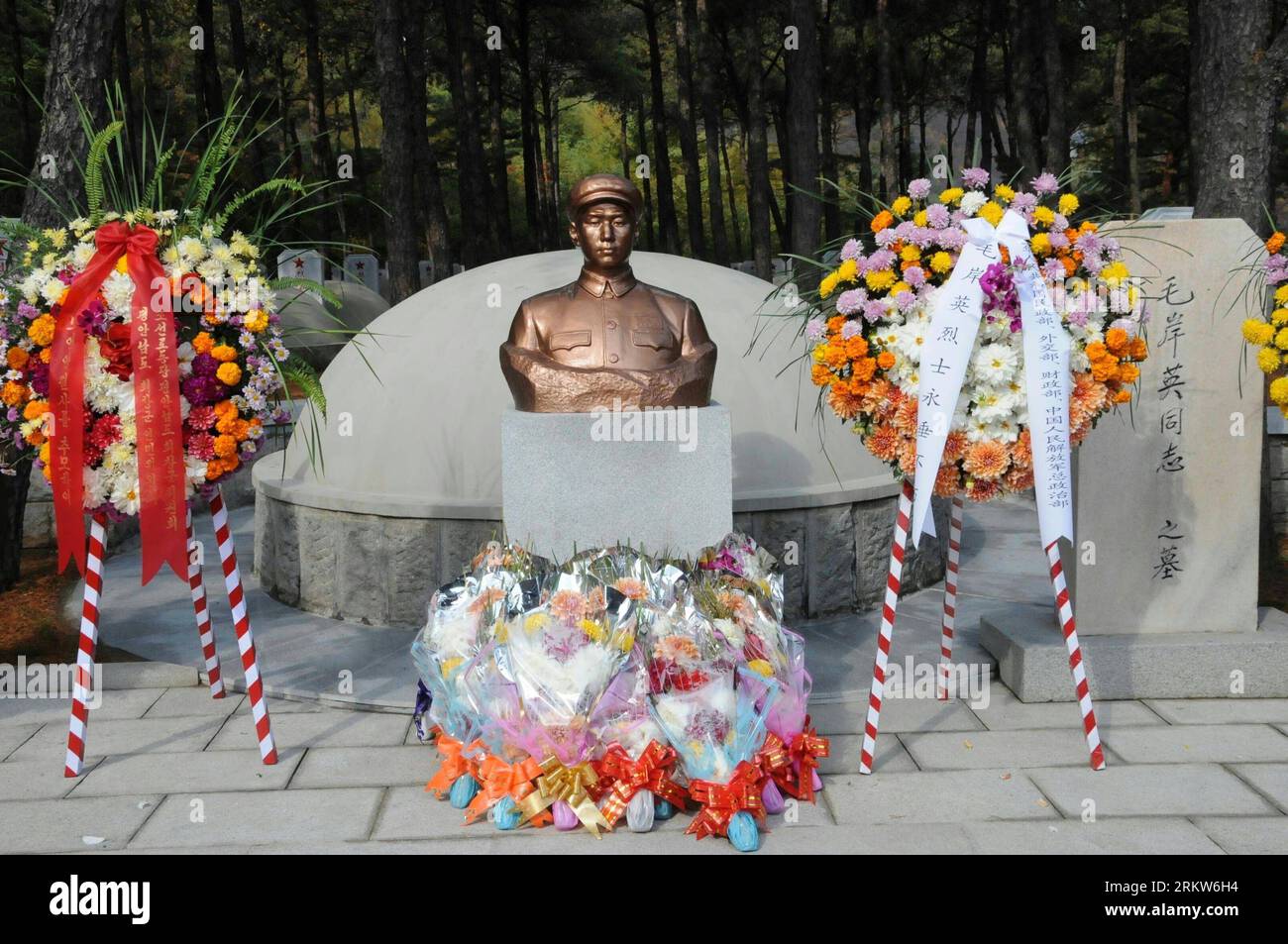 Mao anying hi-res stock photography and images - Alamy