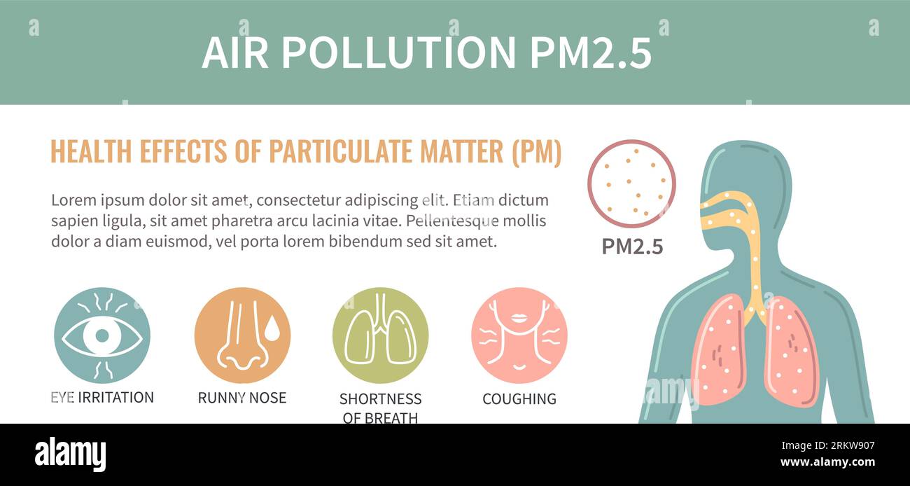 Air pollution pm2.5 particles flat infographics with circle shaped icons representing different ...