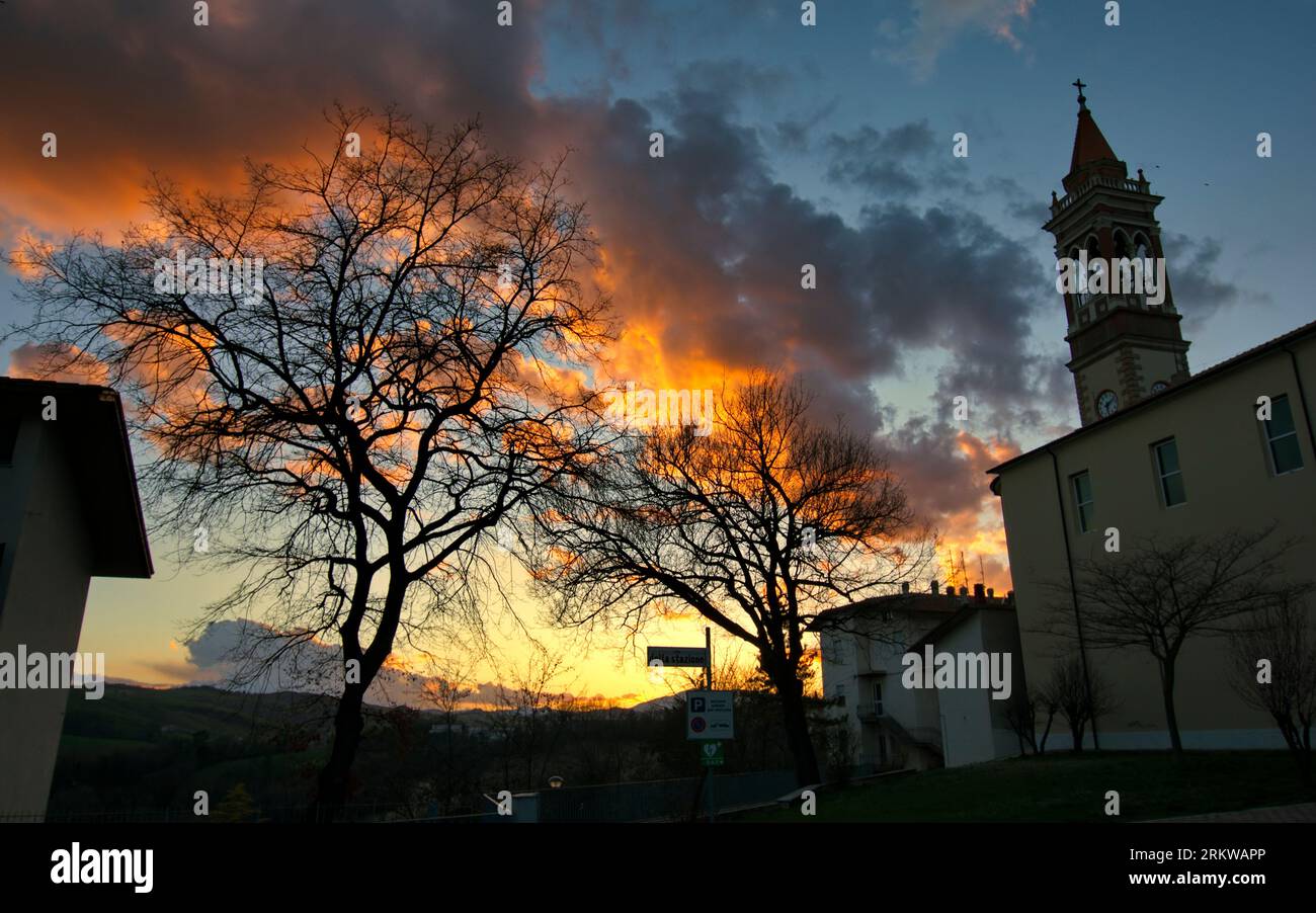 Alberi al cielo hi-res stock photography and images - Alamy