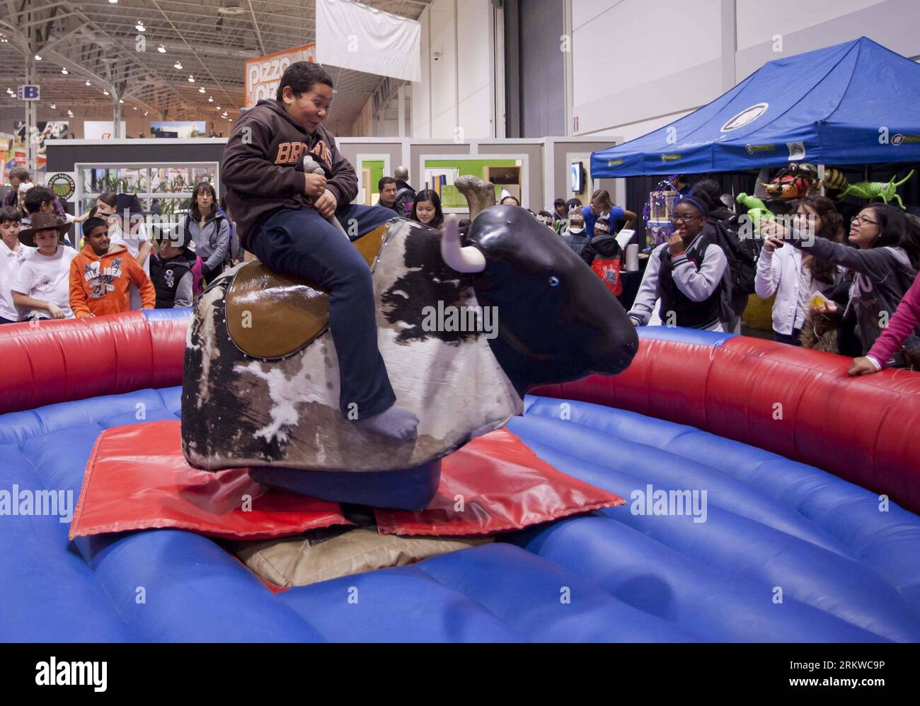 Bull riding exhibition hi-res stock photography and images - Alamy