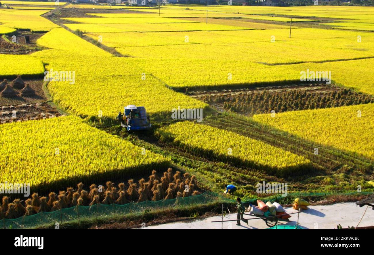 Shagang hi-res stock photography and images - Alamy