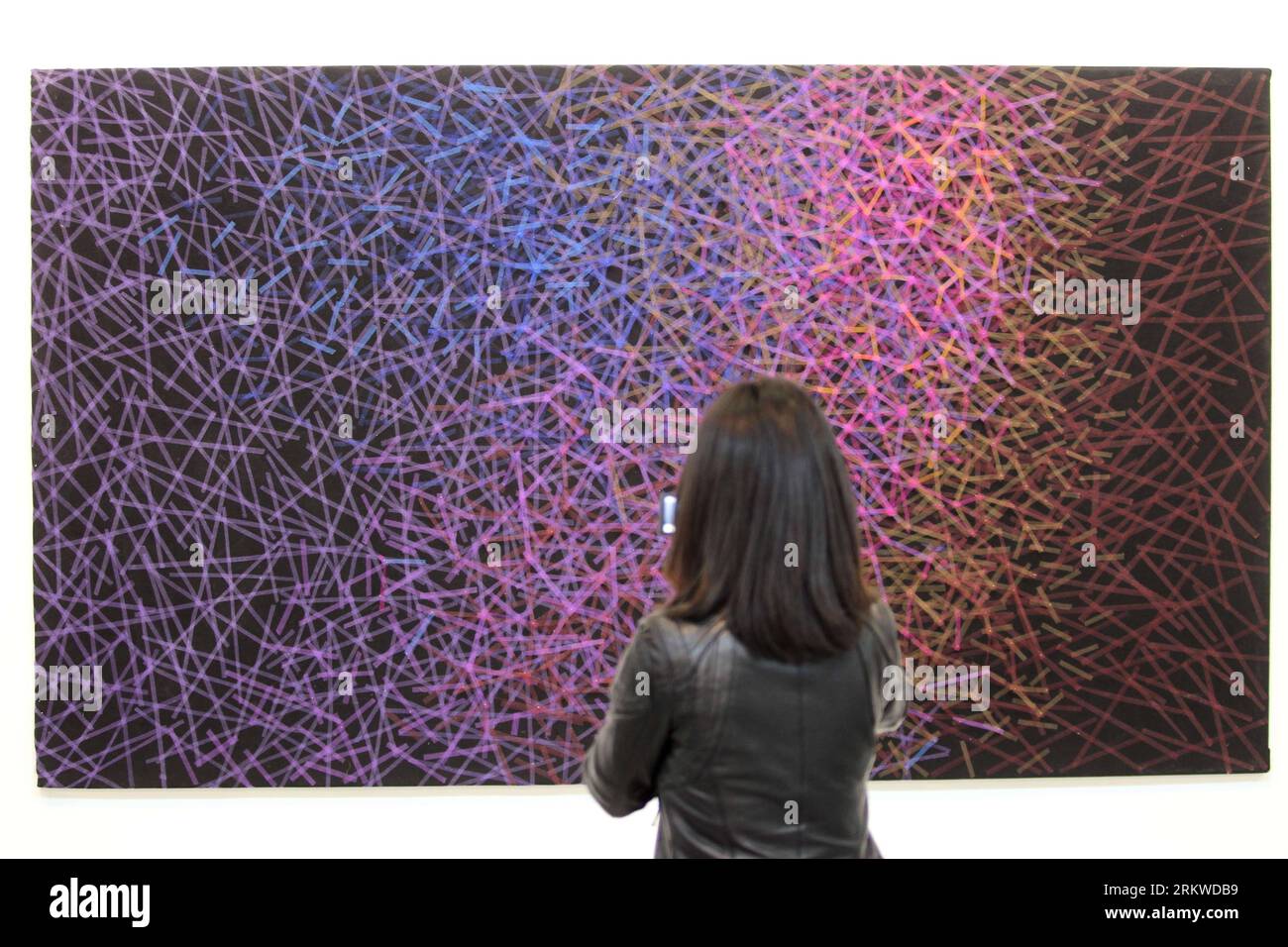 Visitor in a museum Cut Out Stock Images & Pictures - Alamy