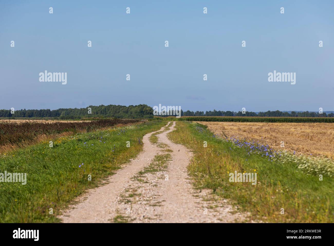 Unpaved highway in rural areas, part of a simple road in rural areas ...