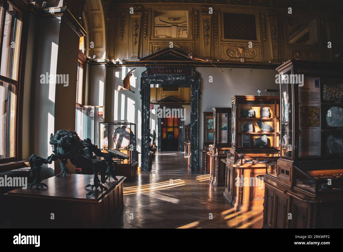 Sunlit Rooms of Vienna Natural History Museum Stock Photo - Alamy