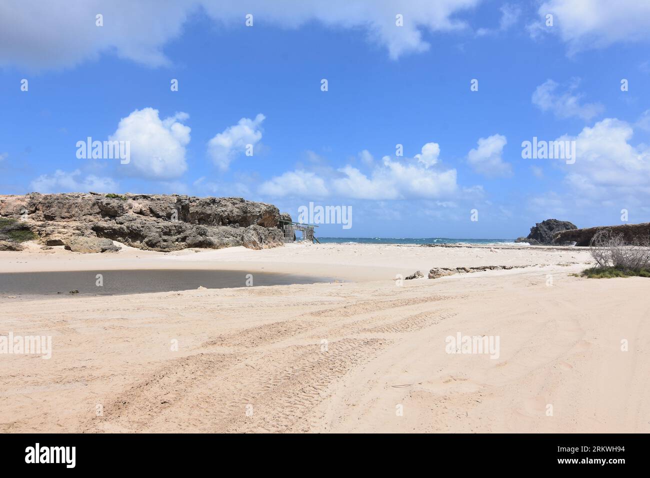 White sand Andicuri Beach on the coast of Aruba Stock Photo - Alamy