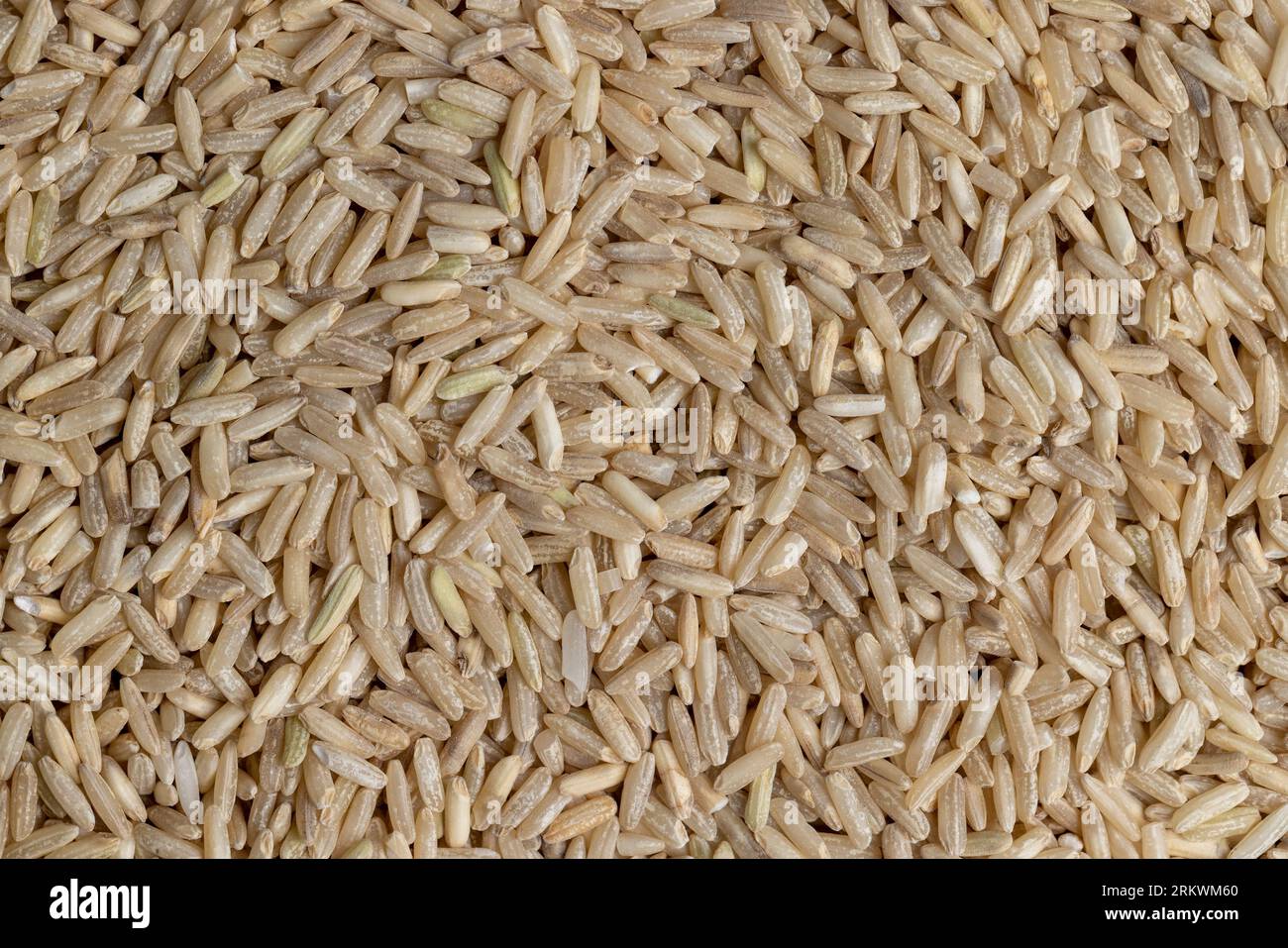 Natural brown rice for cooking healthy food, minimal processing of rice ...
