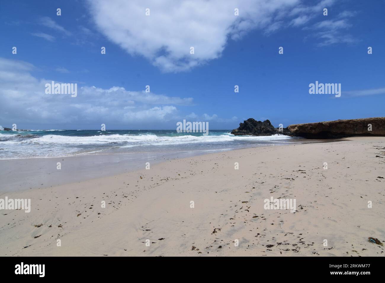 Andicuri beach aruba hi-res stock photography and images - Alamy