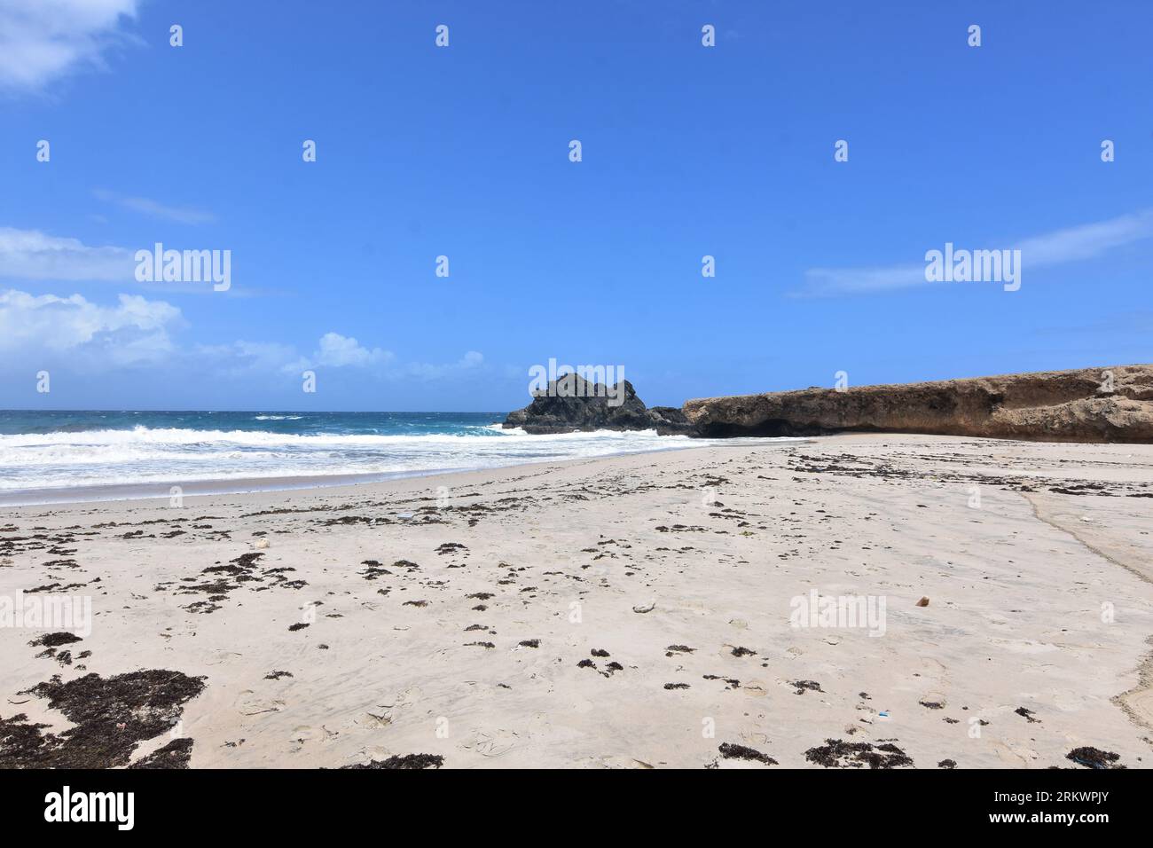 Andicuri beach aruba hi-res stock photography and images - Alamy