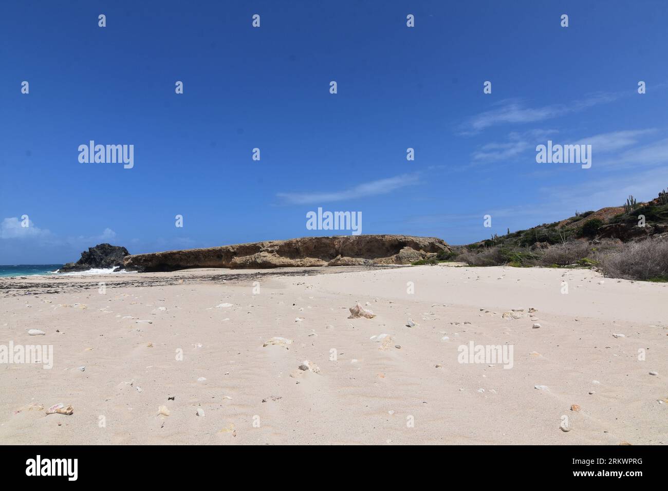 Andicuri beach aruba hi-res stock photography and images - Alamy