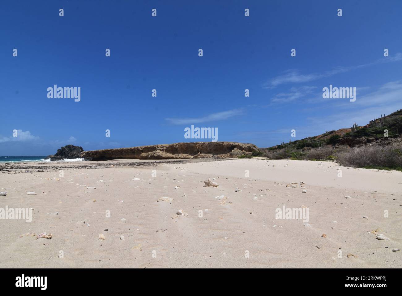 Andicuri beach aruba hi-res stock photography and images - Alamy