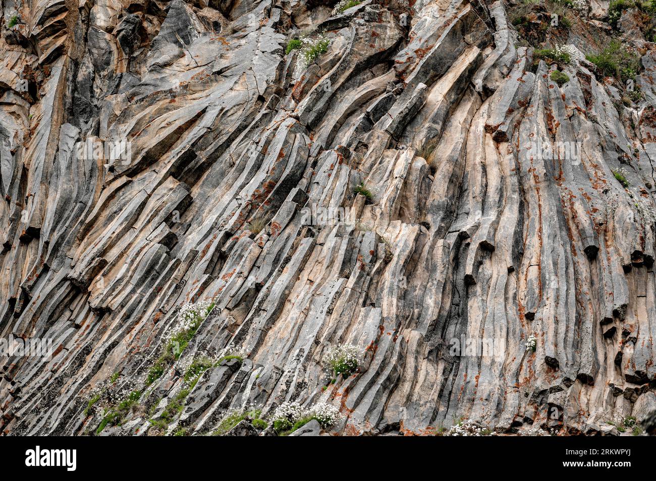 natural rock background texture. Basalt columns, rock formation ...